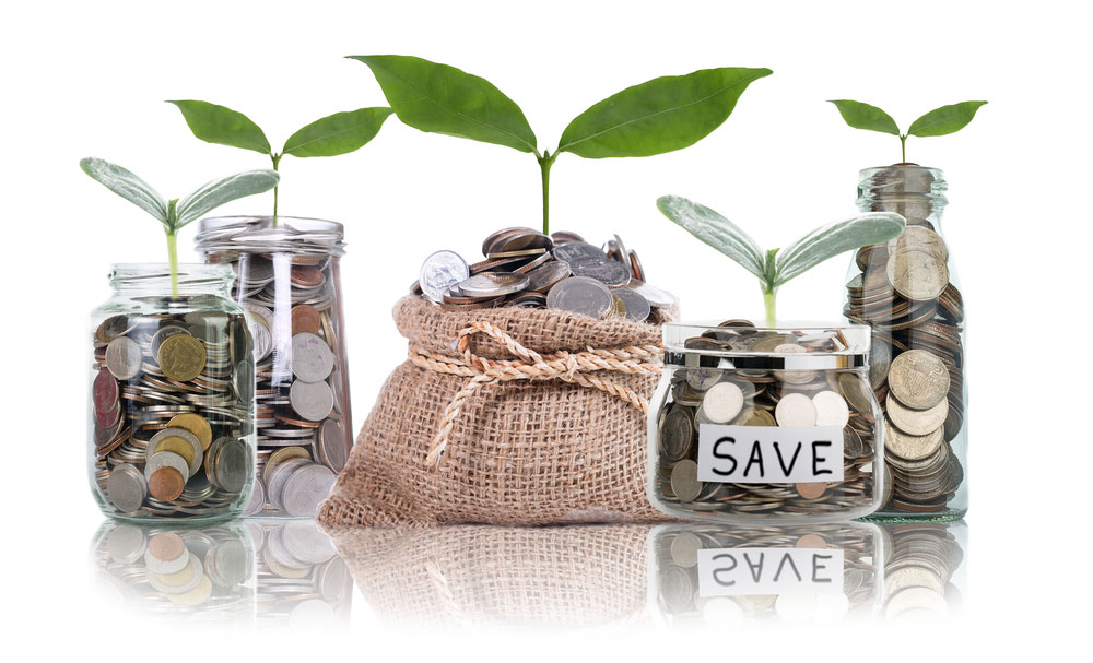 Establishing a Financial Wellness Program for Your Employees | Summit ...